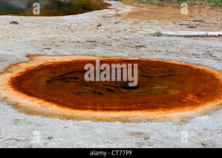Economic Geyser, Upper Geyser Basin, Yellowstone National Park Stock ...