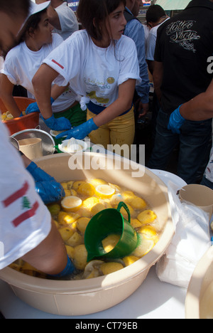 participants in world's biggest glass of lemonade Batroun city north ...