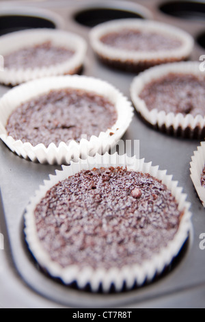 Home-baked chocolate cupcakes Stock Photo - Alamy