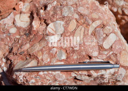 Conglomerate. Sedimentary rock sample Stock Photo - Alamy