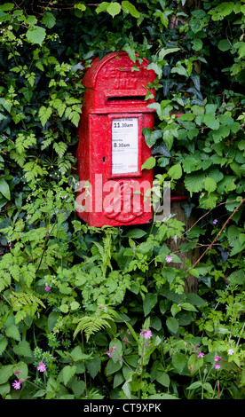 Post Box Edwardian Stock Photo - Alamy