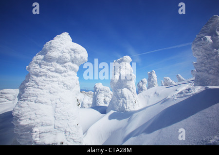 Snow monster on mount Zao, Yamagata Tohoku Japan Stock Photo - Alamy