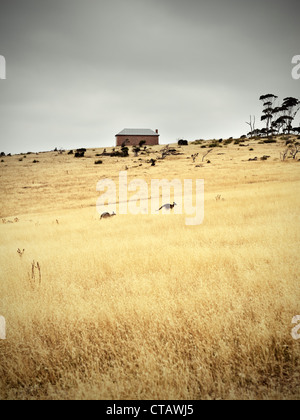 Maria Island Prison, Tasmania Stock Photo - Alamy