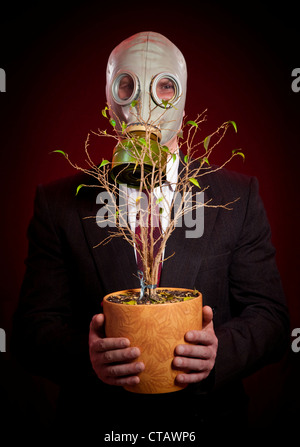 Sprout in hands Stock Photo - Alamy