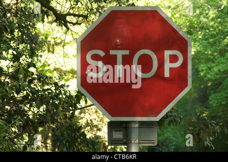 Octagonal red stop sign at a UK road junction Stock Photo: 61117036 - Alamy