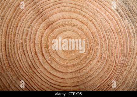 Growth rings of tree Stock Photo - Alamy