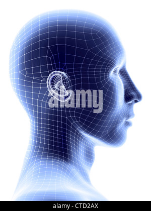 Wireframe person at a computer Stock Photo - Alamy