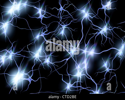 Illustration of a neuron or nerve cell which forms part of the nervous ...