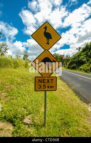 Road sign warning of cassowaries crossing the road, Daintree National ...