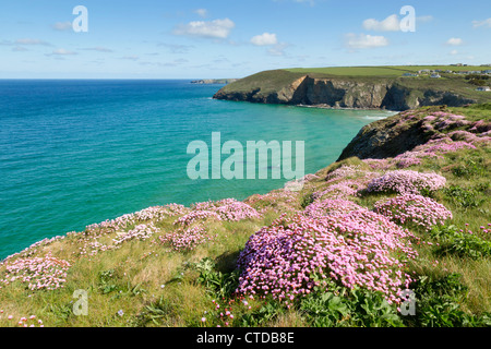 mawgan porth, cornwall, uk Stock Photo - Alamy