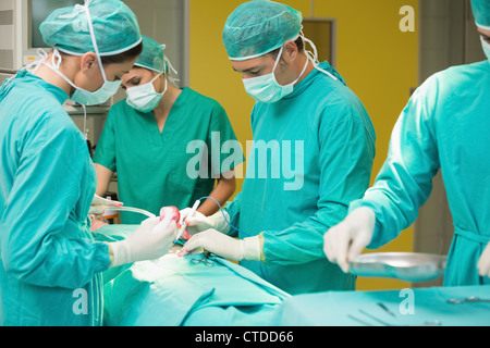 Surgeons using surgical tools Stock Photo - Alamy