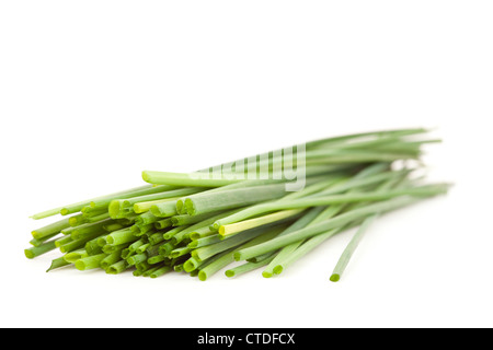 Close up of chive branches Stock Photo - Alamy