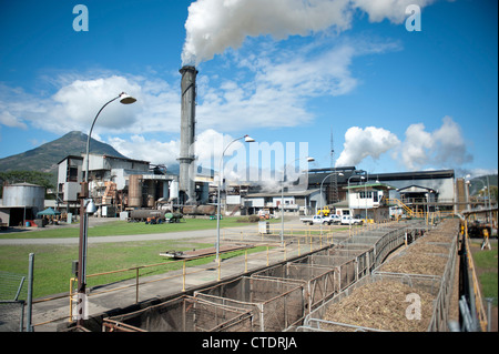 Harvest and crushing time for sugar cane at the Mulgrave Central Sugar ...
