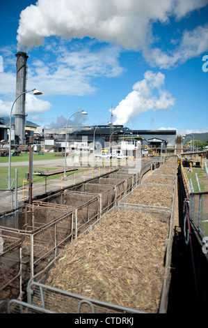 Harvest and crushing time for sugar cane at the Mulgrave Central Sugar ...