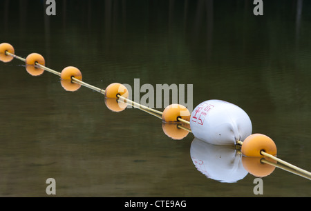 line with floaters in a recreational swimming water Stock Photo - Alamy