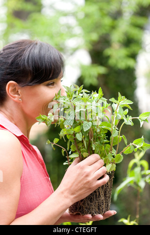 Mature woman smelling fresh mint at home Stock Photo - Alamy