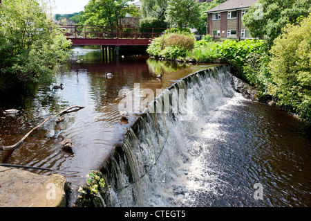 Man made waterfall weir on the River Rheidol as part of the hydro Stock ...