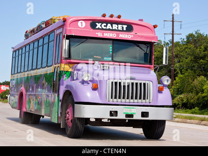 Local Public Bus Mexico City Stock Photo: 35771699 - Alamy