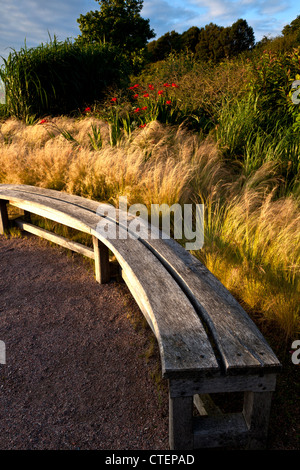 Crocosmia and Stipa Tenuissma in Evening Sun at RHS Hyde Hall with ...