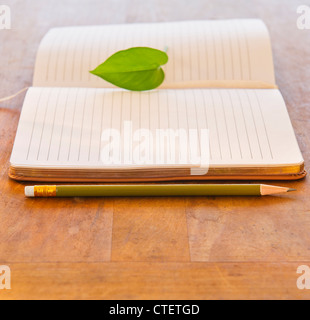 Blank paper notebook lying on the ground Stock Photo - Alamy