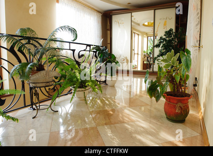 A MOSAIC BOUQUET OF FLOWERS ON THE FLOOR OF THE VATICAN MUSEUM, ROME ...