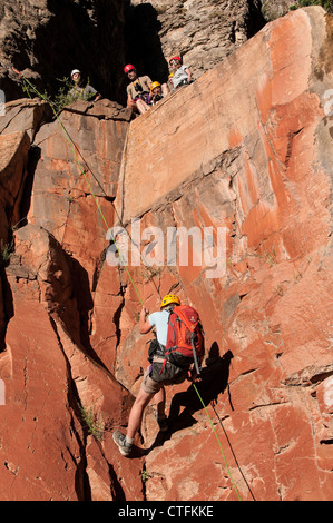 USA, Utah. A female canyoneer rappels into a pool on the San Rafael ...
