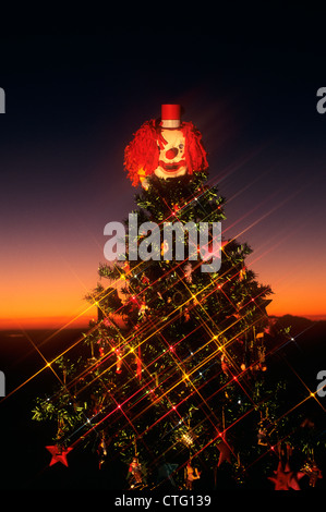 Funny clown in Christmas celebration concept Stock Photo - Alamy