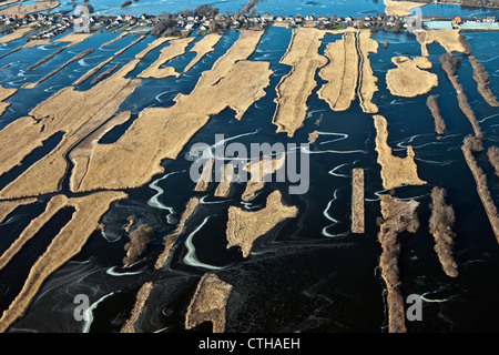 The Netherlands, Noorden, near Nieuwkoop, Lakes called Nieuwkoopse ...