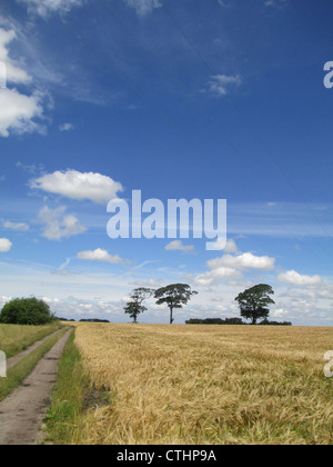 LANDSCAPE near Southport, England. Photo Tony Gale Stock Photo - Alamy