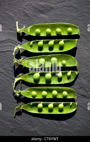 peas in their pods Stock Photo - Alamy