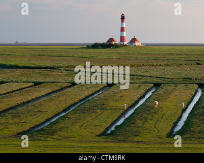 Coastal salt marsh at the Lighthouse Westerhever, Baltic Sea, Germany ...