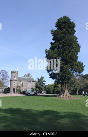 Ranger Station Monikie Country Park Angus Scotland July 2017 Stock ...