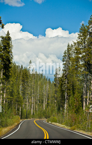 highway with painted lines in a forest Stock Photo - Alamy
