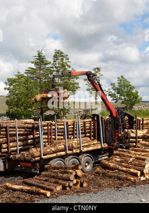 Colas Rail and Kronospan facility Wood train at Ribblehead Siding ...
