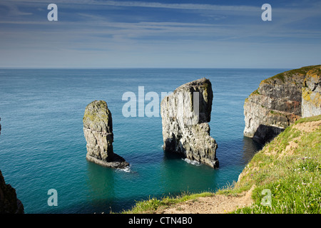 Elegug Stack Rocks, Pembrokeshire, Wales, UK Stock Photo - Alamy