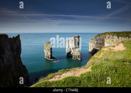 Elegug Stack Rocks, Pembrokeshire, Wales, UK Stock Photo - Alamy