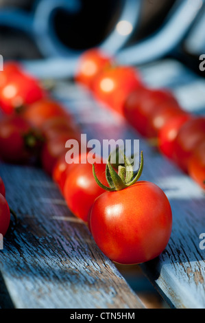 Freshly picked tomatoes in wooden crate on table Stock Photo - Alamy