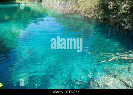 Summer azure limpid transparent lake (Plitvice, Croatia Stock Photo - Alamy