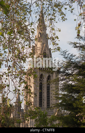 Christ Church, Highbury, North London Stock Photo - Alamy