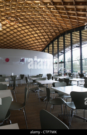 Gridshell timber roof made from renewable sources in the canteen area ...