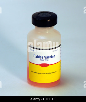 Rabies vaccine vial Stock Photo - Alamy