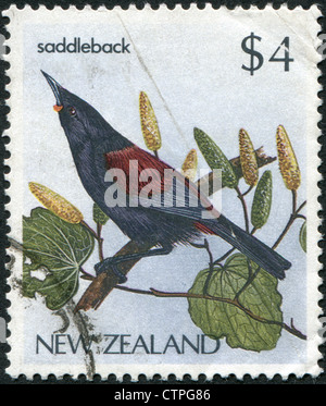 NEW ZEALAND - CIRCA 1986: A stamp printed in New Zealand, shows a bird ...