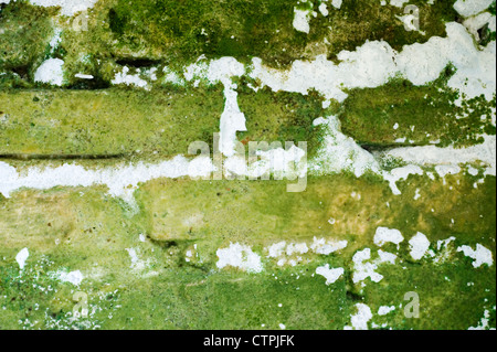 severe rising damp on a house exterior wall common sight in indonesia ...