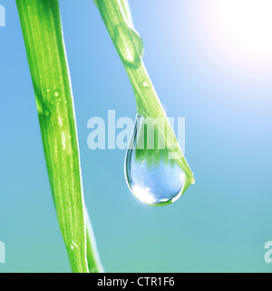 water drop shine in sun light Stock Photo - Alamy