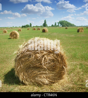 Pile of hay on field. Countryside landscape with haycock in summer ...