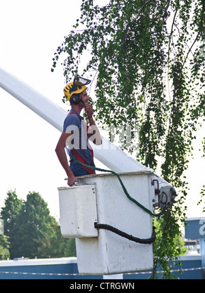 Tree pruner in bucket Stock Photo - Alamy