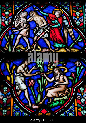 Adam and Eve eat the Forbidden Fruit at the Tree of Life in Paradise ...