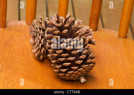 Pine cones on a chair Stock Photo - Alamy