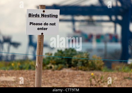 [Birds nesting] sign Landguard nature reserve Felixstowe Suffolk Stock ...