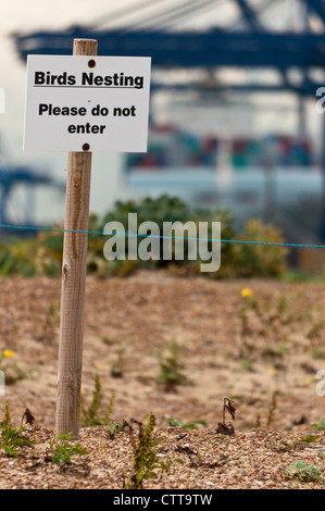 [Birds nesting] sign Landguard nature reserve Felixstowe Suffolk Stock ...